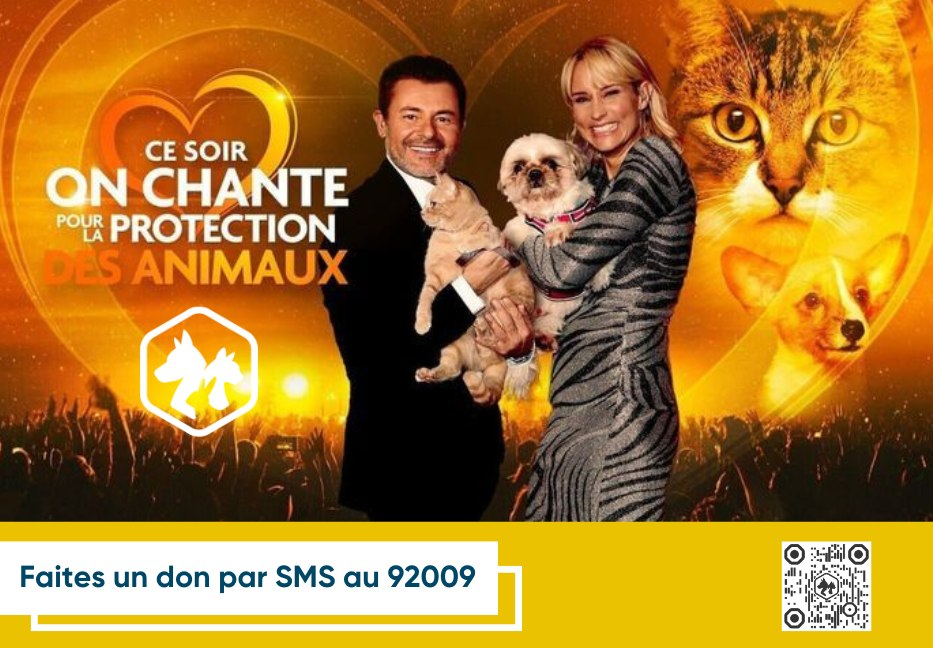 « Pas Si Bêtes » à la télé ! – Refuge Pas Si Bêtes